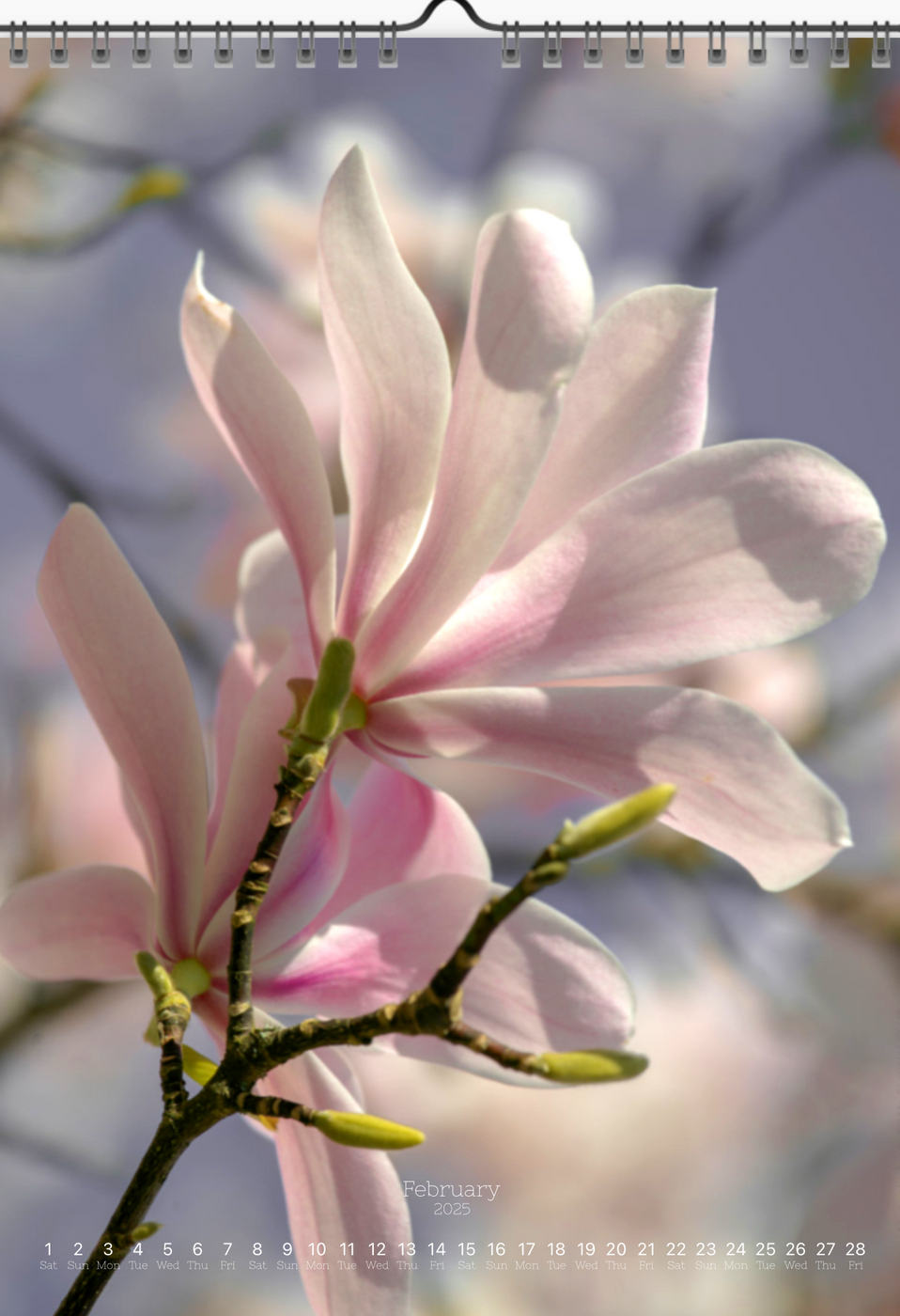 Calendar - MAGNOLIA WHISPER 2026 | designed by TOMas Rodak for TOMs ...
