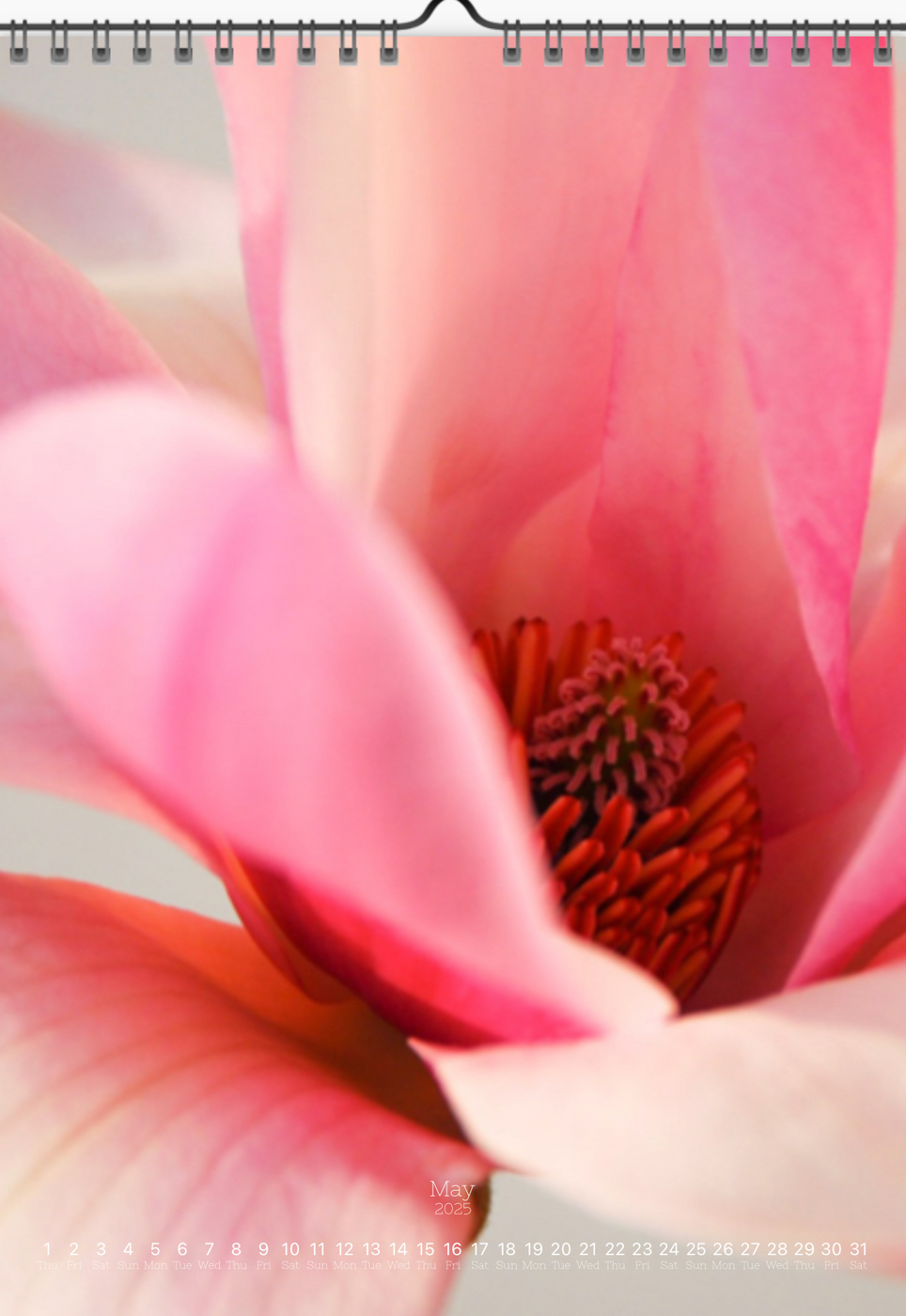 Calendar - MAGNOLIA WHISPER 2026 | designed by TOMas Rodak for TOMs ...