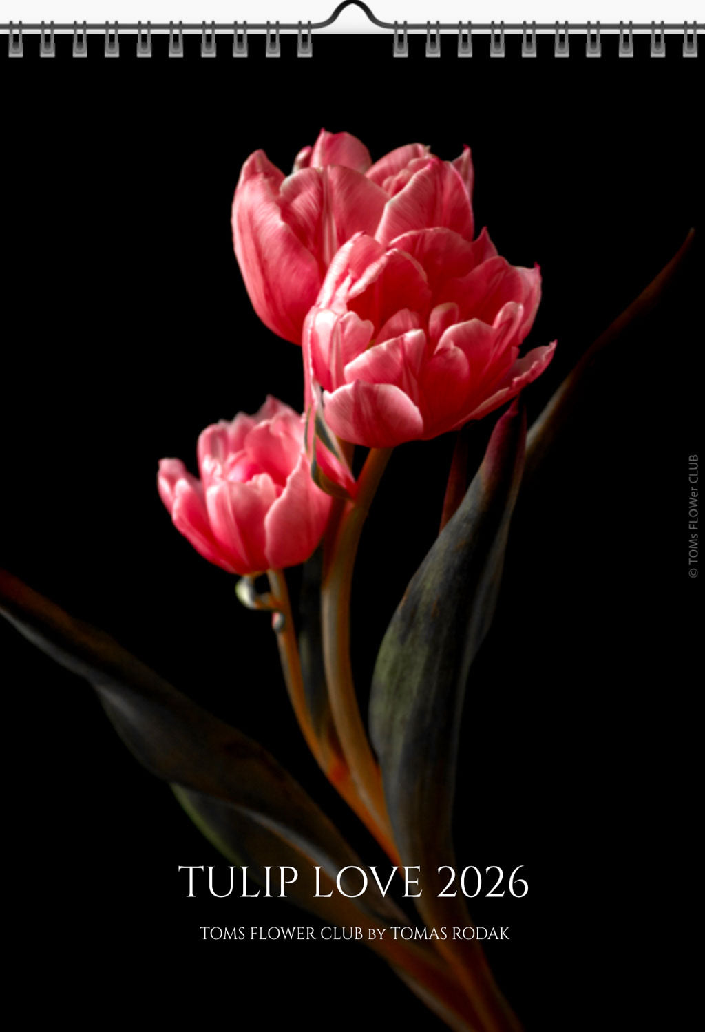 Calendar 2026 - TULIP LOVE | designed by TOMas Rodak for TOMs FLOWer ...
